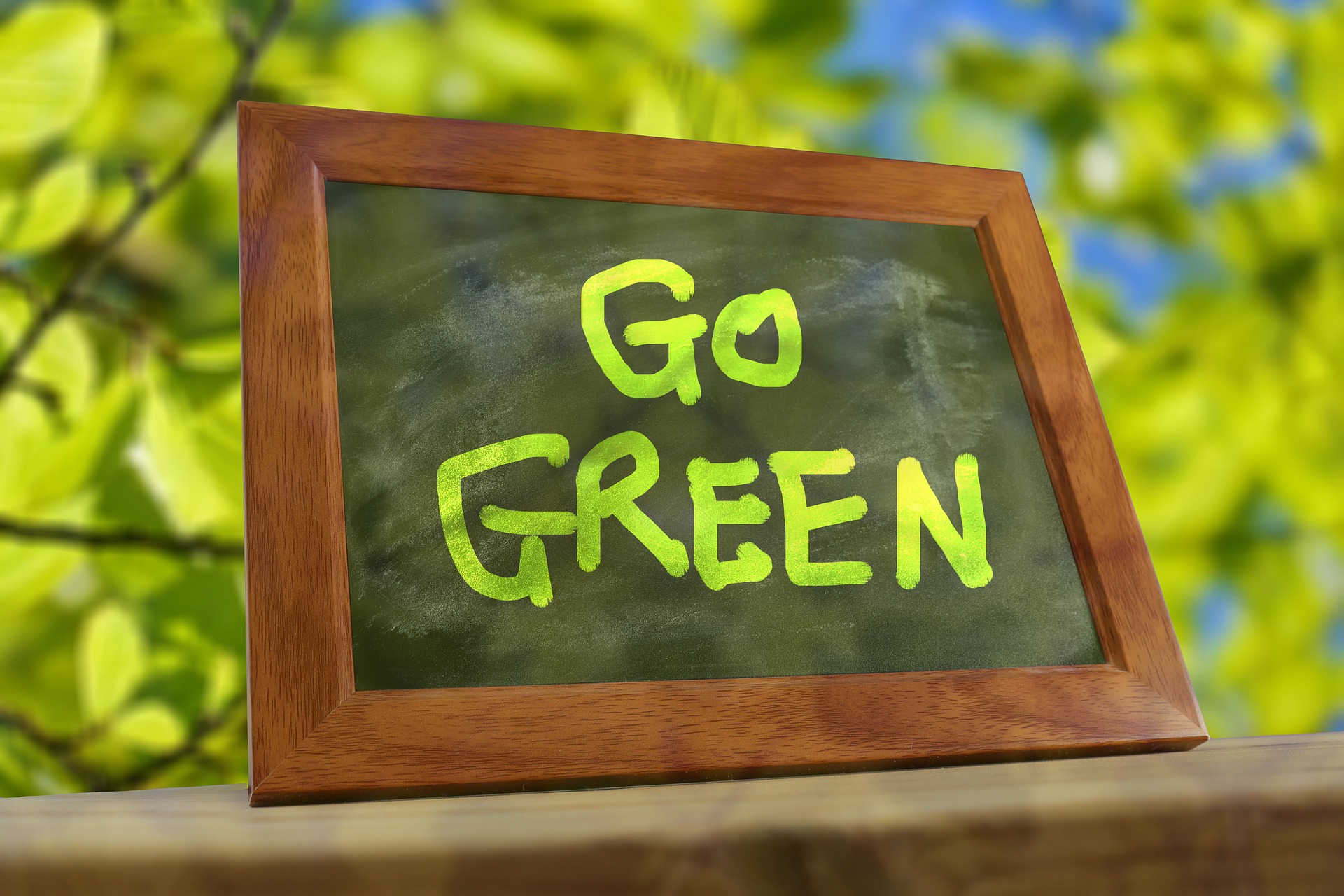Going Green – European Children's Film Association